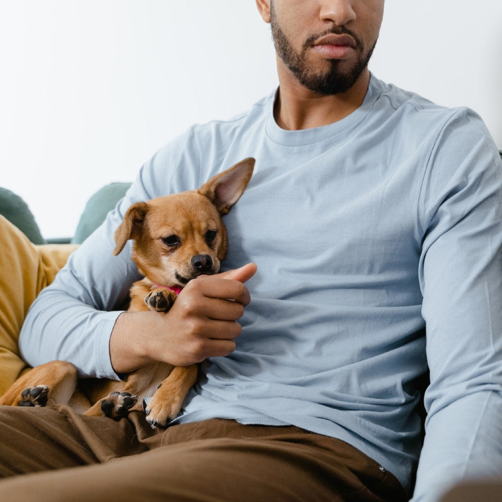 Should You Get Your Dog DNA Tested? This Will Help You Decide – Pooch ...