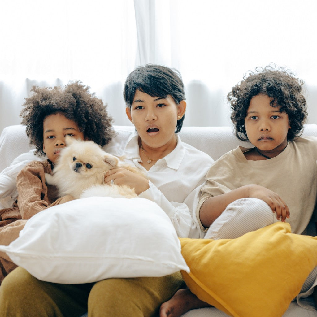 7 Amazing Facts About Dogs For Kids – Pooch & Poodle